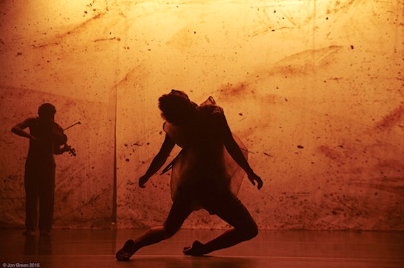 Science, art collide as performers tackle climate change