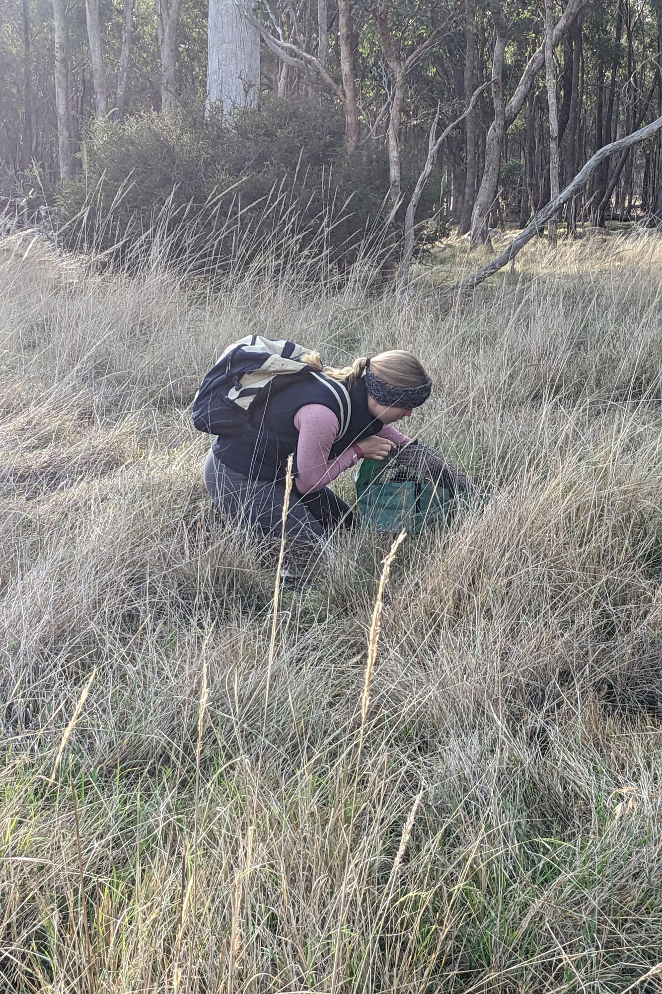 Zoos Victoria intern fights for endangered Pookila