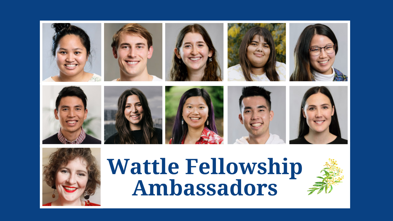 Meet the Ambassadors