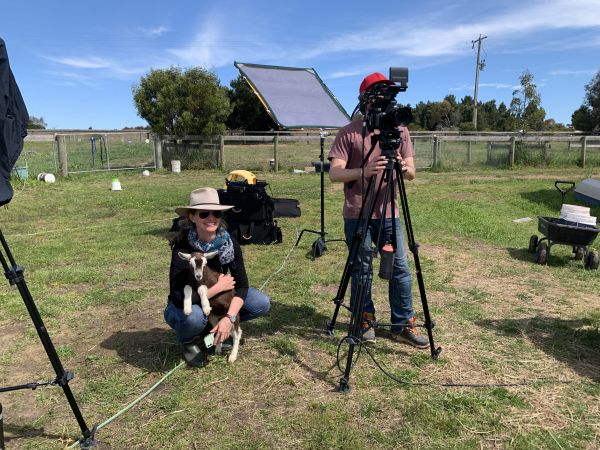 Creating interactive role play videos to improve student communication ...