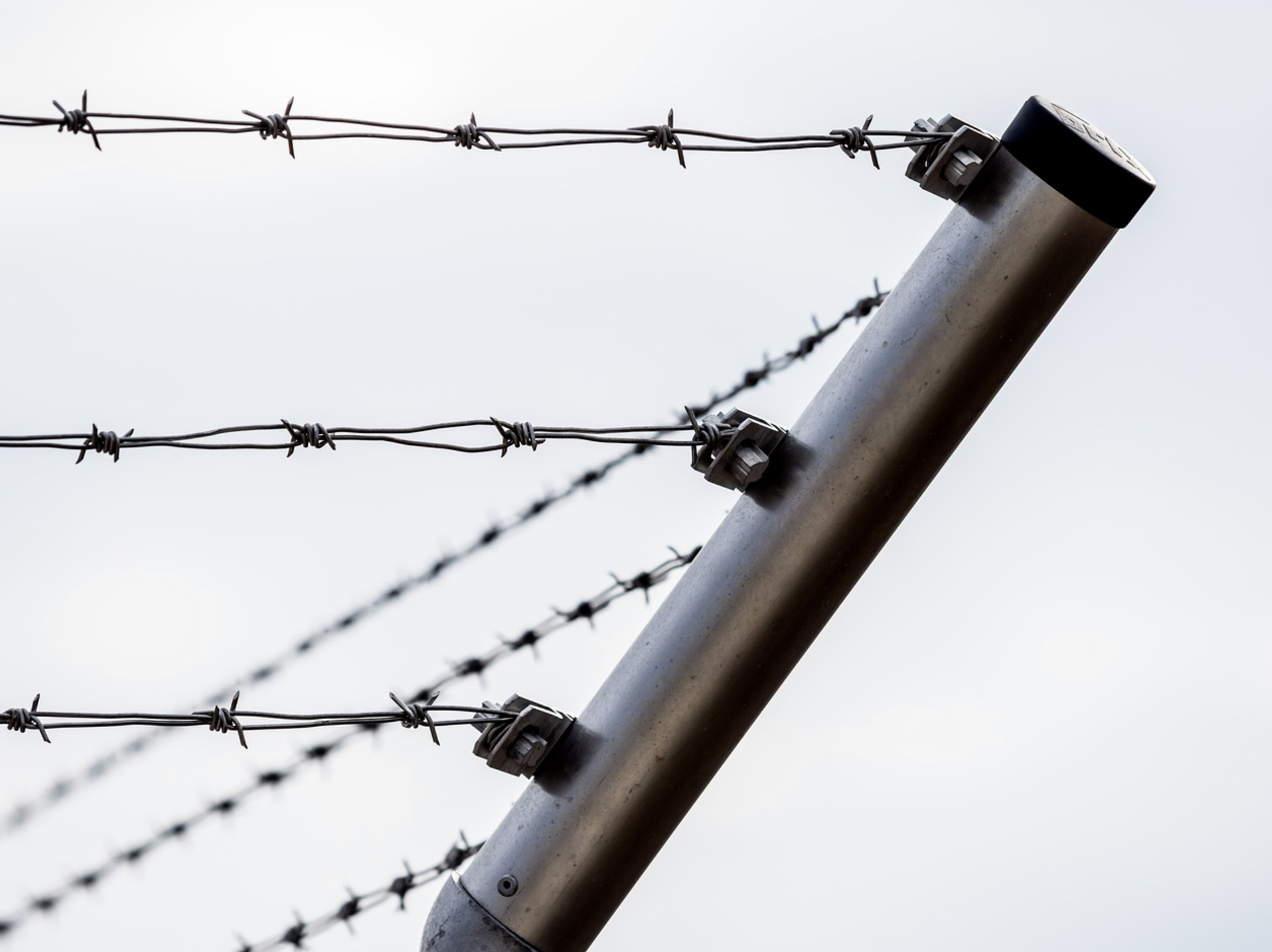 Reporting on Asylum seeker self-harm not in line with WHO standards ...