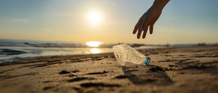 World Environment Day 2025